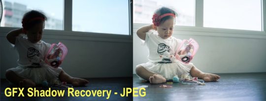 Fujifilm GFX :: Amazing Dynamic Range JPEG Shadow Recovery + Bokeh ...