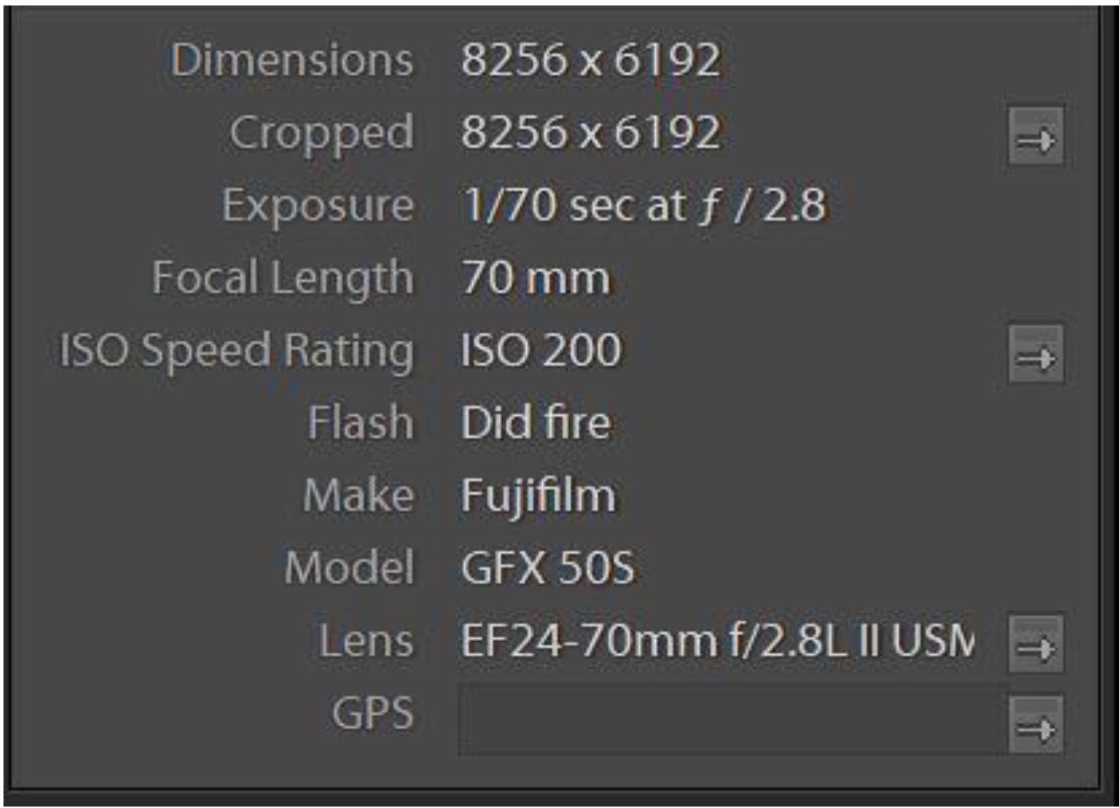 Steelsring Canon EF to Fujifilm GFX Autofocus Adapter Test - Fuji Rumors