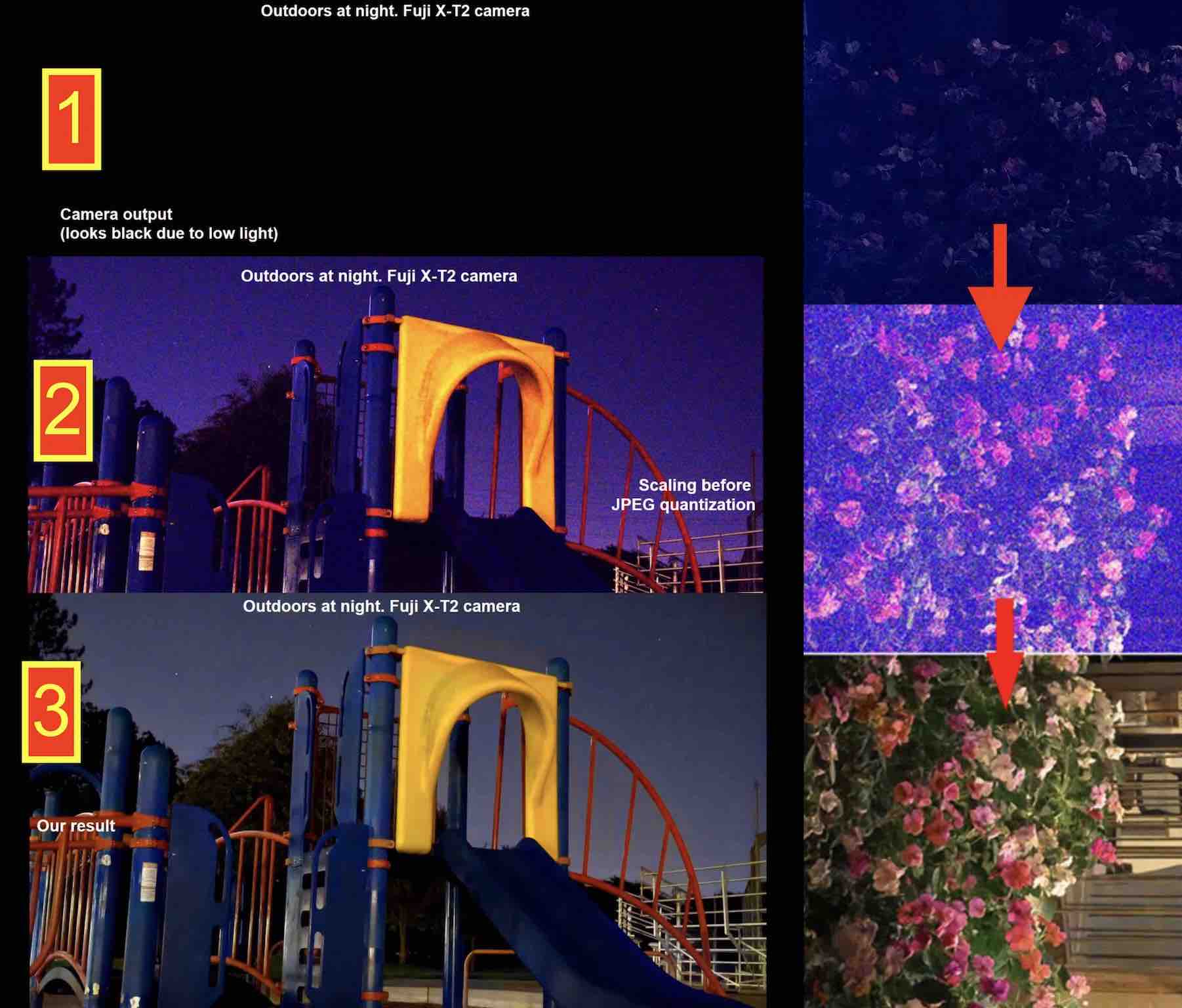 Newly Developed AI Image Processing "Sees in the Dark". See Extreme ...