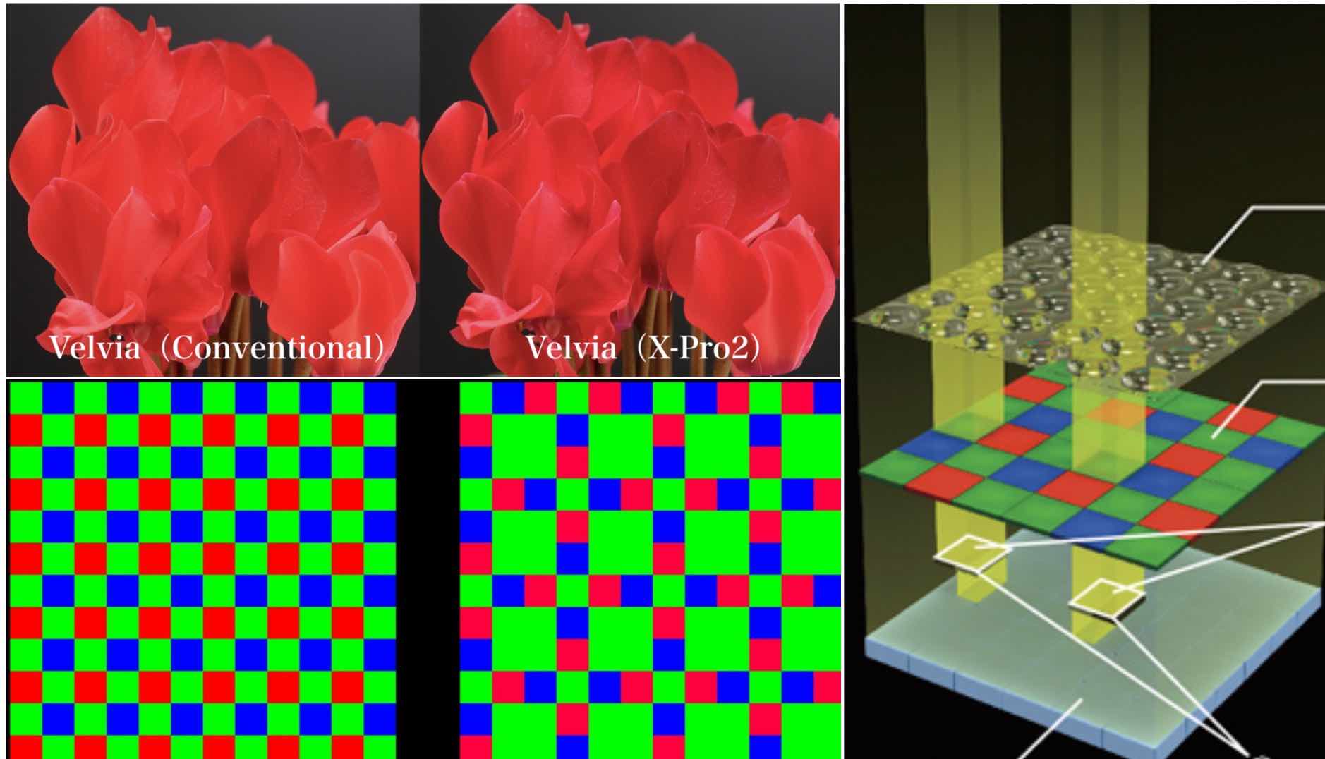 The Evolution of Fujifilm Colors from X-Pro1 to Fujifilm X-T3 and Why ...