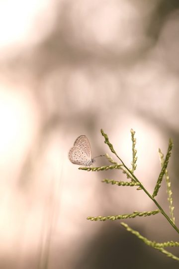 The Power of Fujifilm Colors: Leaving Fuji for Nikon Z and Back to Fuji ...