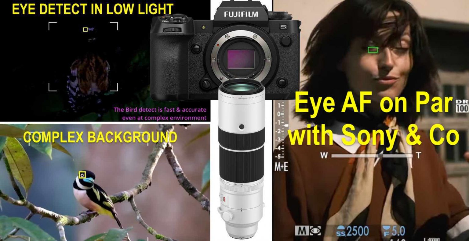 BIRD TRACKING with Fujifilm X-H2S with XF150-600 (in Complex Condition) and EYE AUTOFOCUS on Par ...