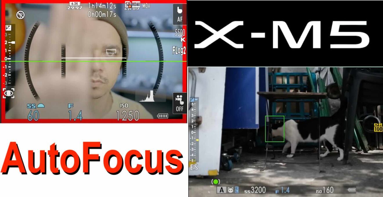 Reviews Archives - Fuji Rumors